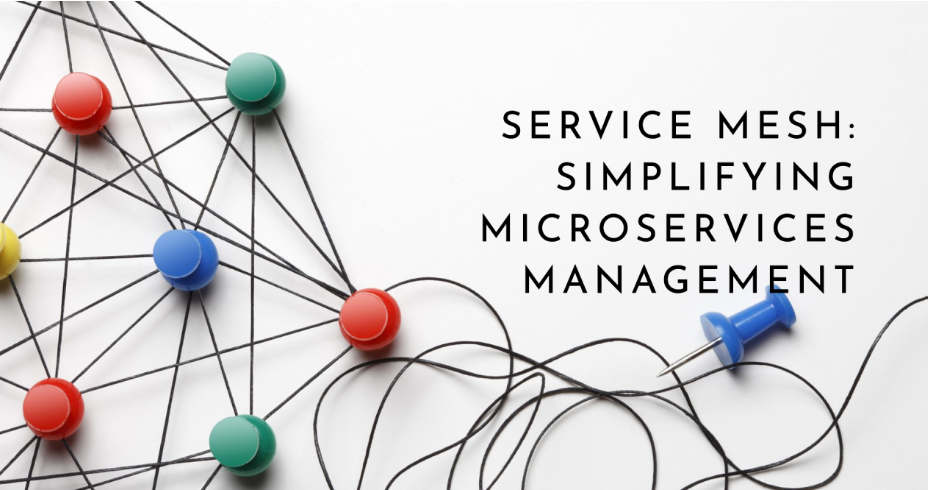 Service Mesh: Simplifying Microservices Management - Adria Business ...
